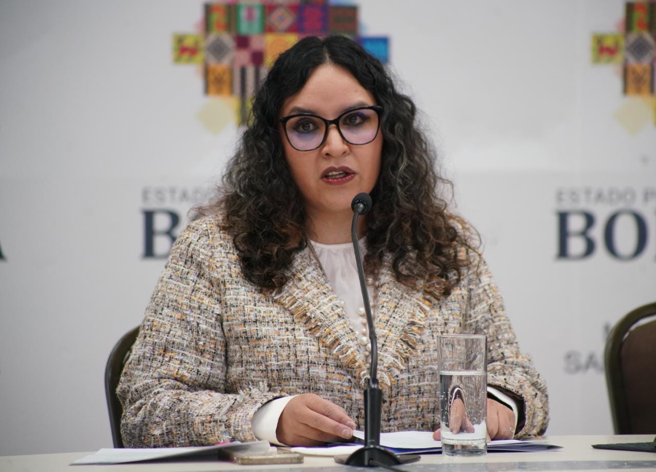 ABI - Conferencia de prensa de la Ministra de Salud y Deportes María ...