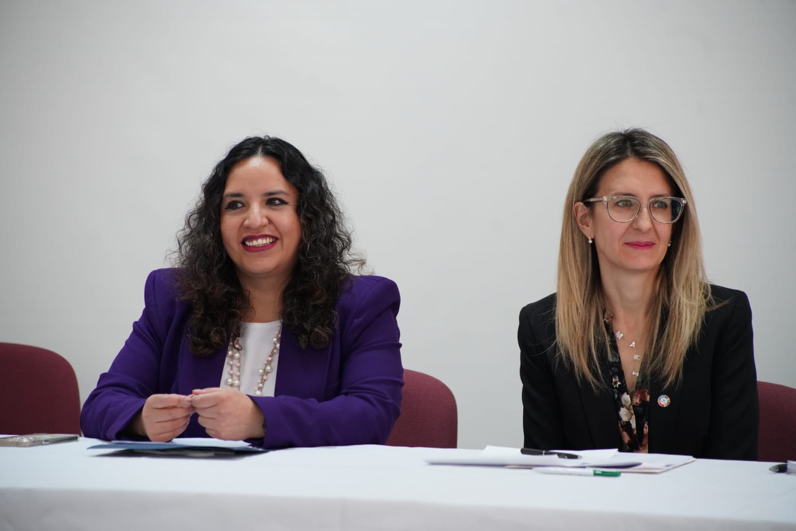 ABI - Ministra María Renée Castro, inaugura taller Nacional para Puntos ...